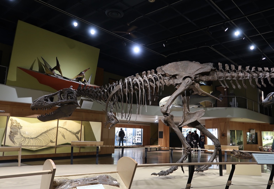 Cleveland Museum of Natural History | Seek Discover Learn