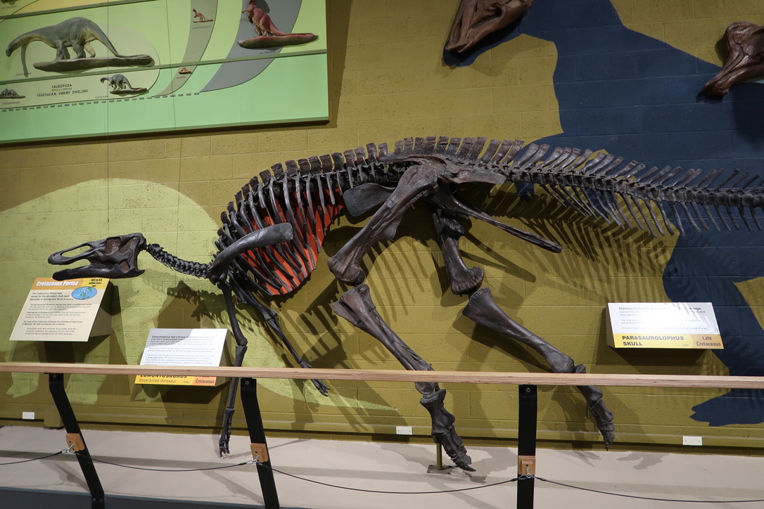 Cleveland Museum of Natural History | Seek Discover Learn