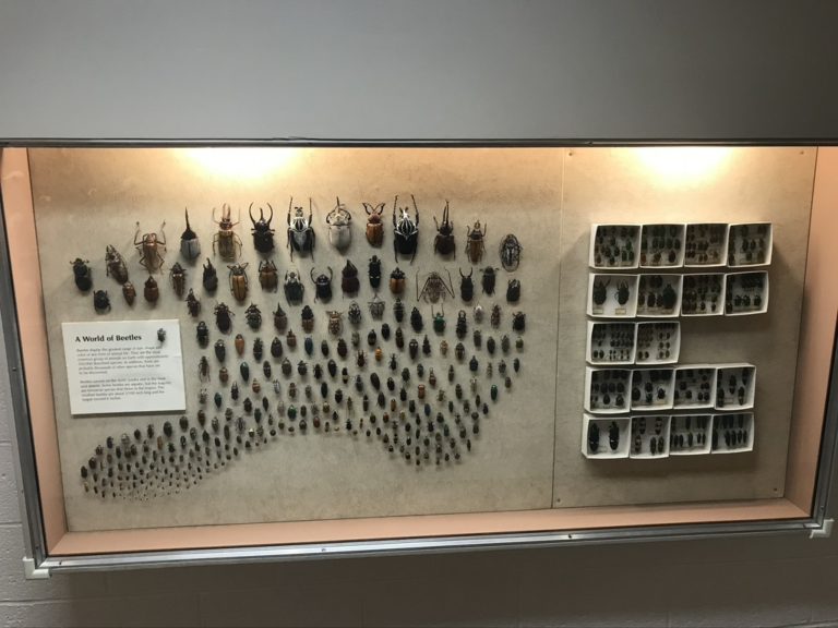 Cleveland Museum of Natural History | Seek Discover Learn