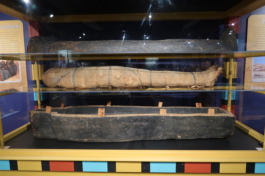 Boonshoft Museum of Discovery with kids | Seek Discover Learn